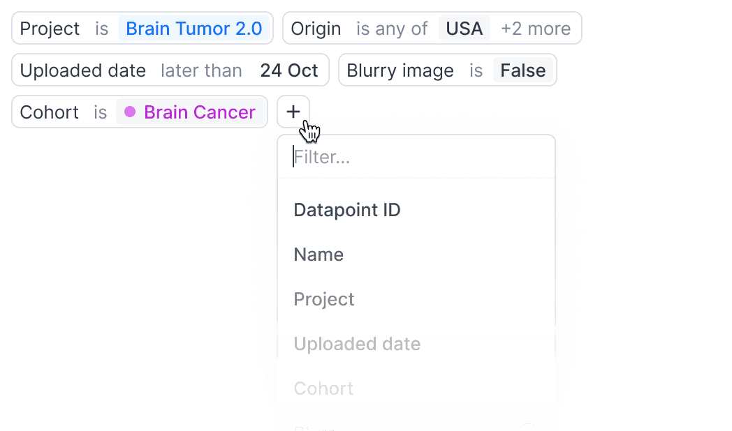 RedBrick AI: Foundation of Healthcare AI